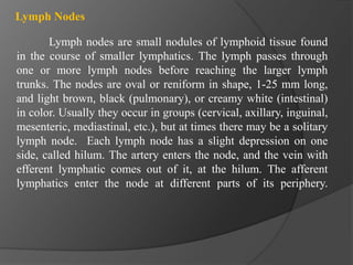 The human circulatory | PPTX