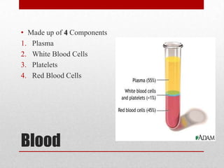 The human circulatory system | PPTX
