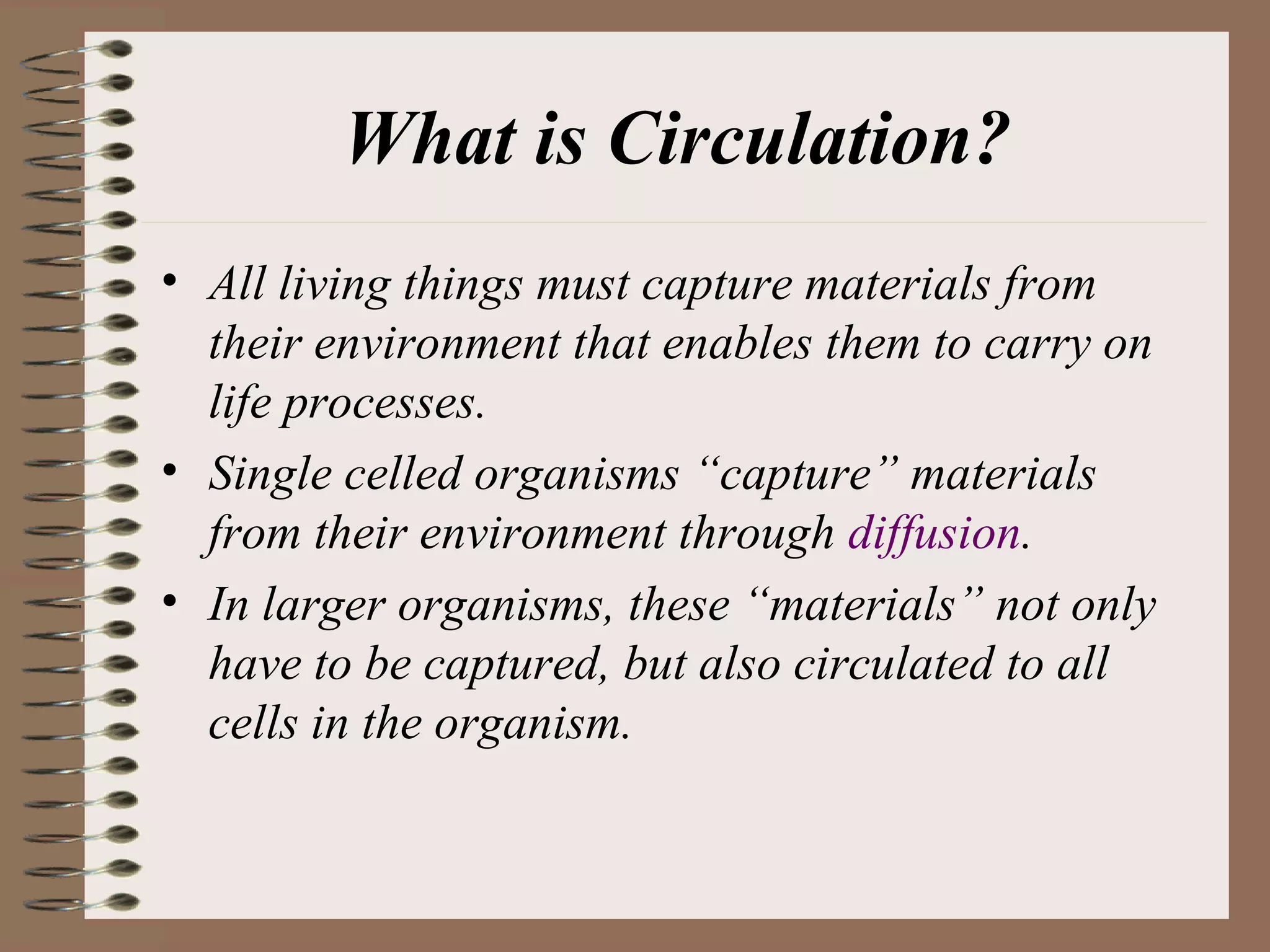The human circulatory system2 | PPT