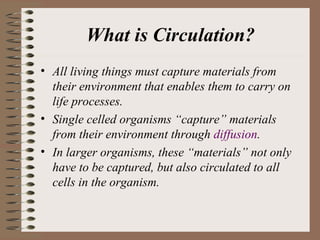 The human circulatory system2 | PPT