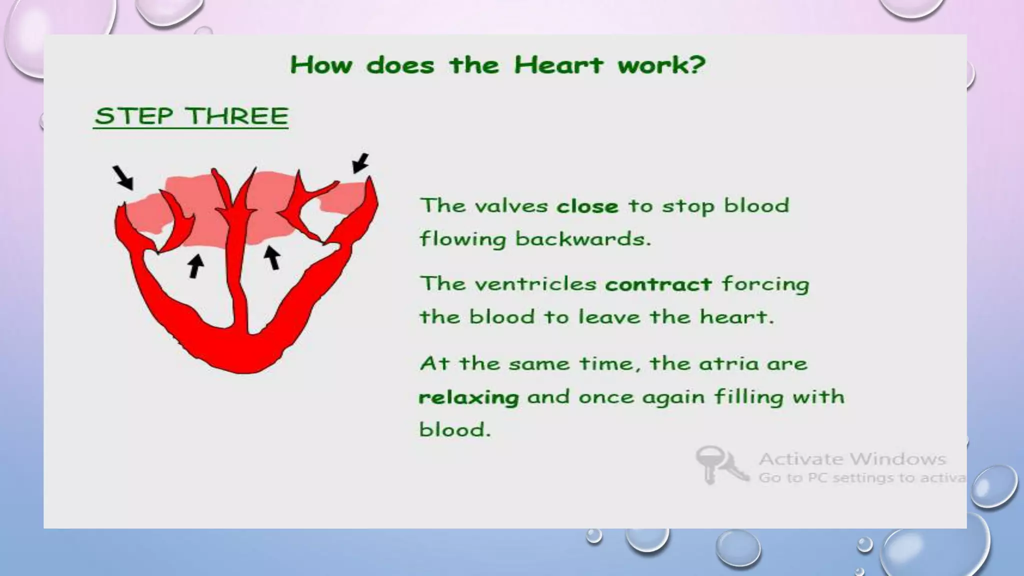 The Human Circulatory System | PPTX | Heart and Cardiovascular Diseases ...