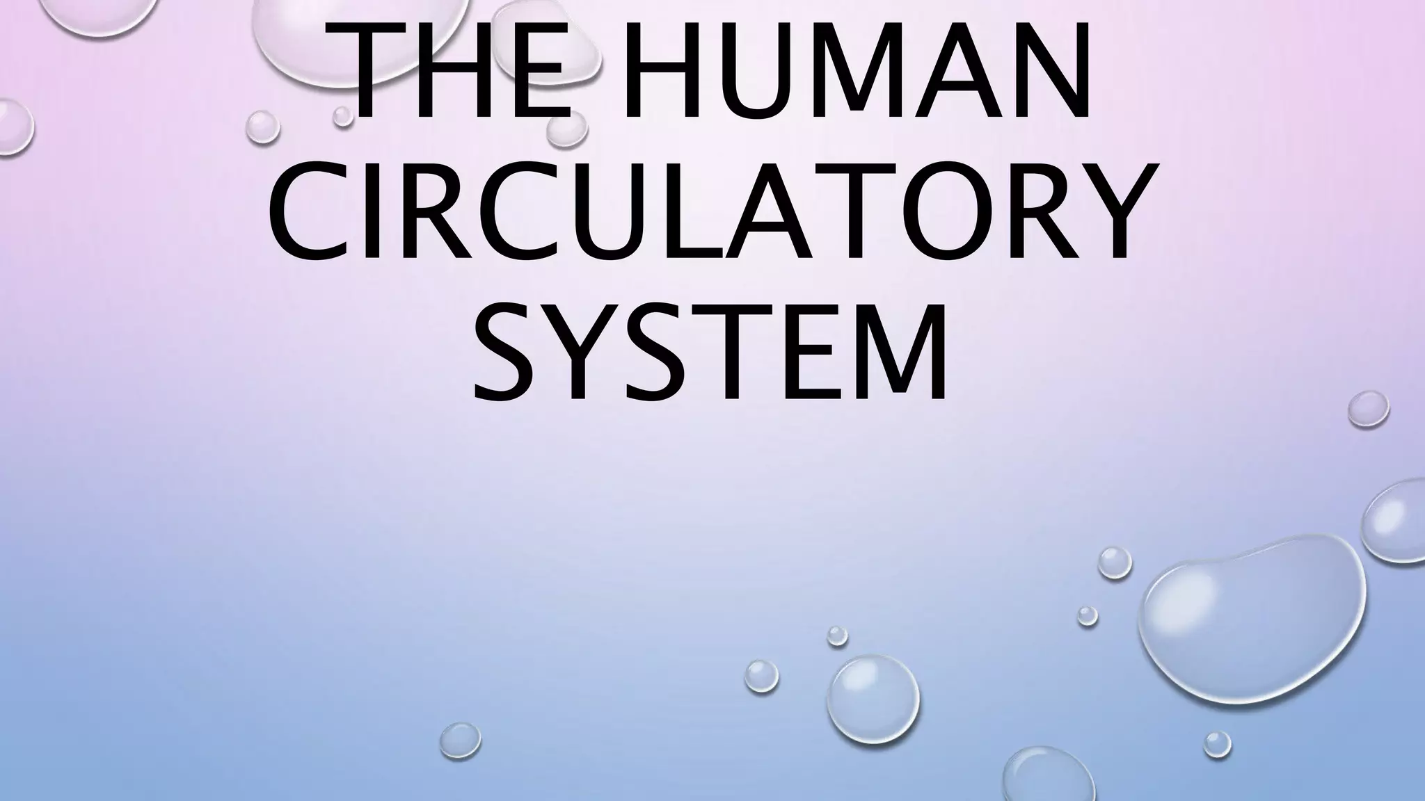 The Human Circulatory System | PPTX | Heart and Cardiovascular Diseases | Diseases and Conditions