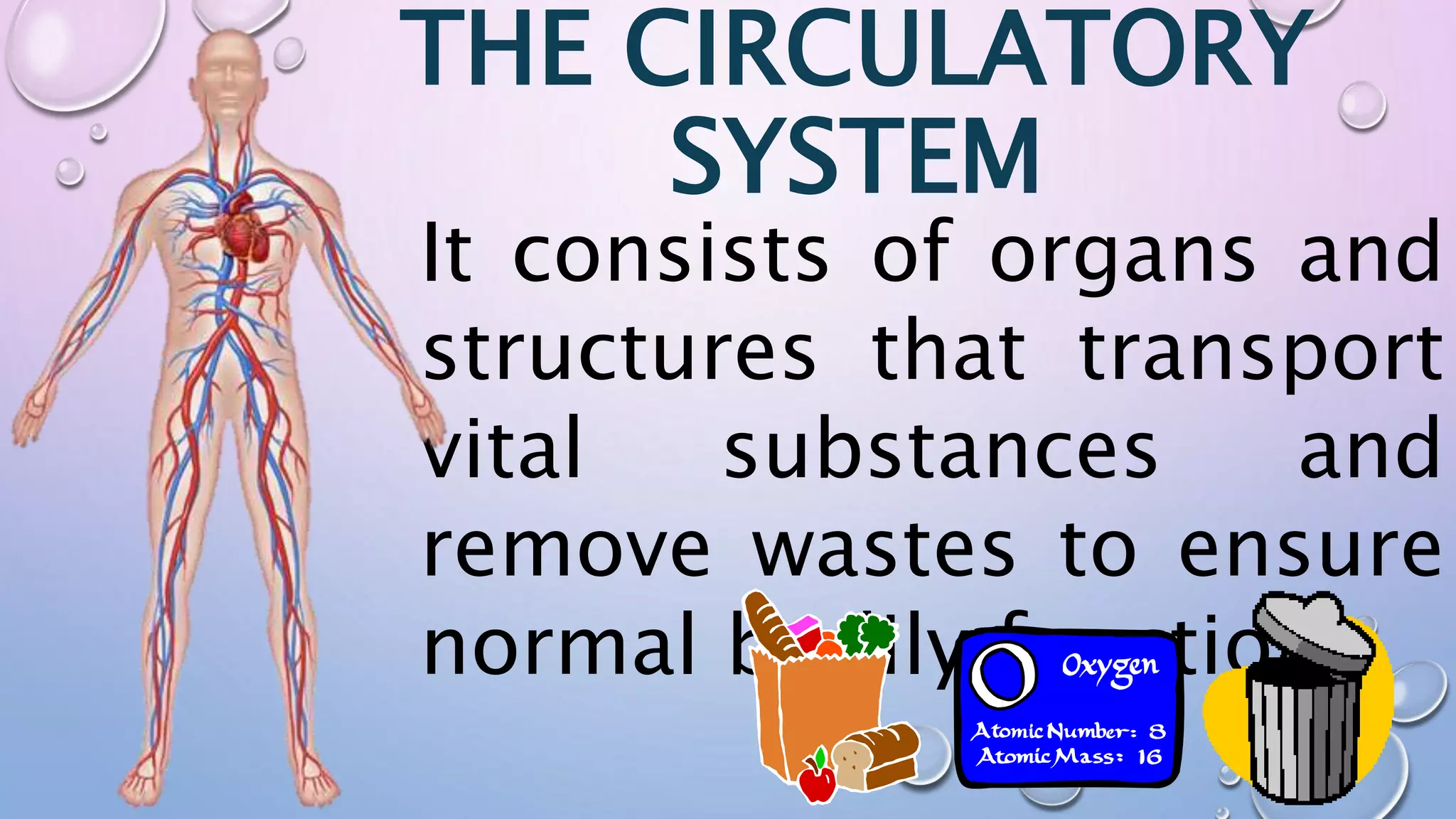 The Human Circulatory System | PPTX | Heart and Cardiovascular Diseases ...