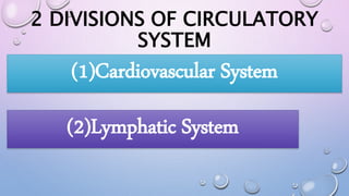 The Human Circulatory System | PPTX | Heart and Cardiovascular Diseases ...