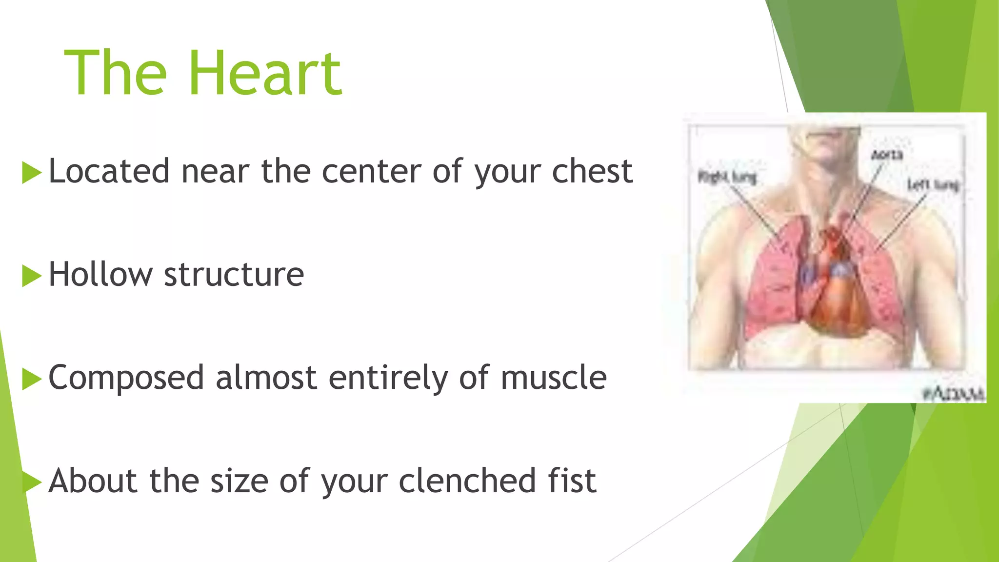 The human circulatory system 2.0 | PPT