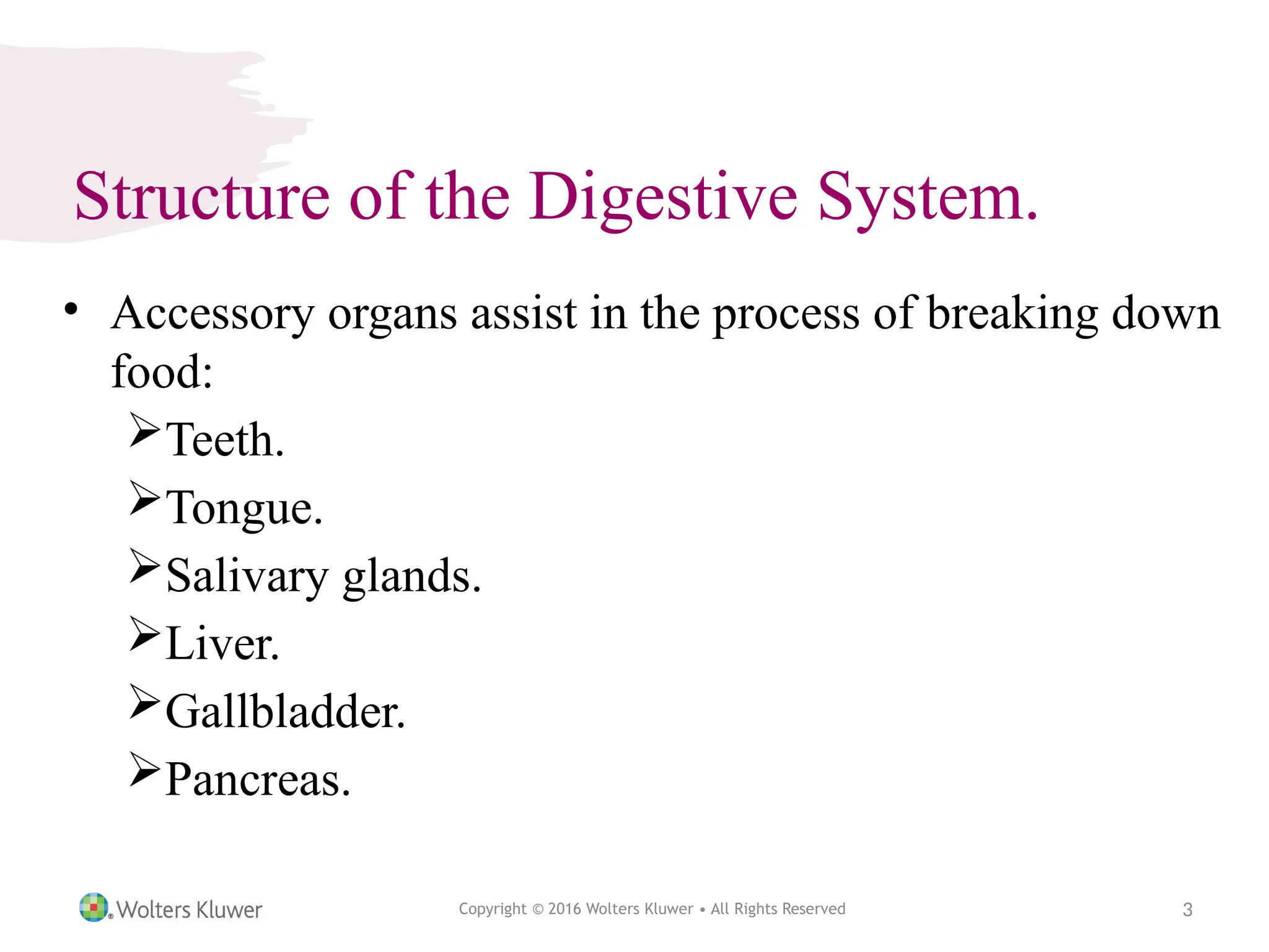 THE HUMAN DIGESTIVE SYSTEM human anatomy and physiology | PPTX