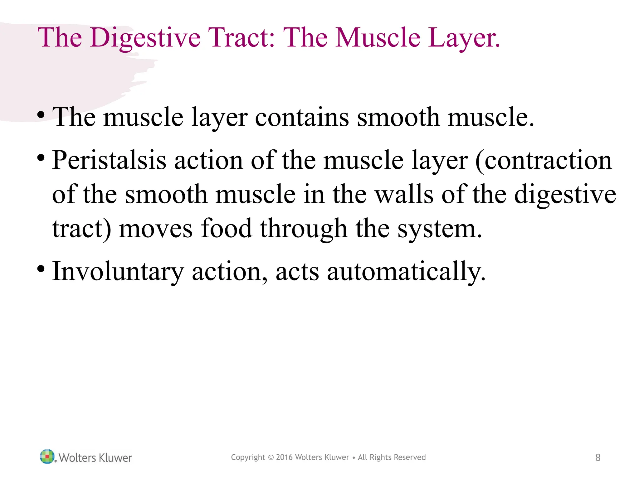 THE HUMAN DIGESTIVE SYSTEM human anatomy and physiology | PPTX