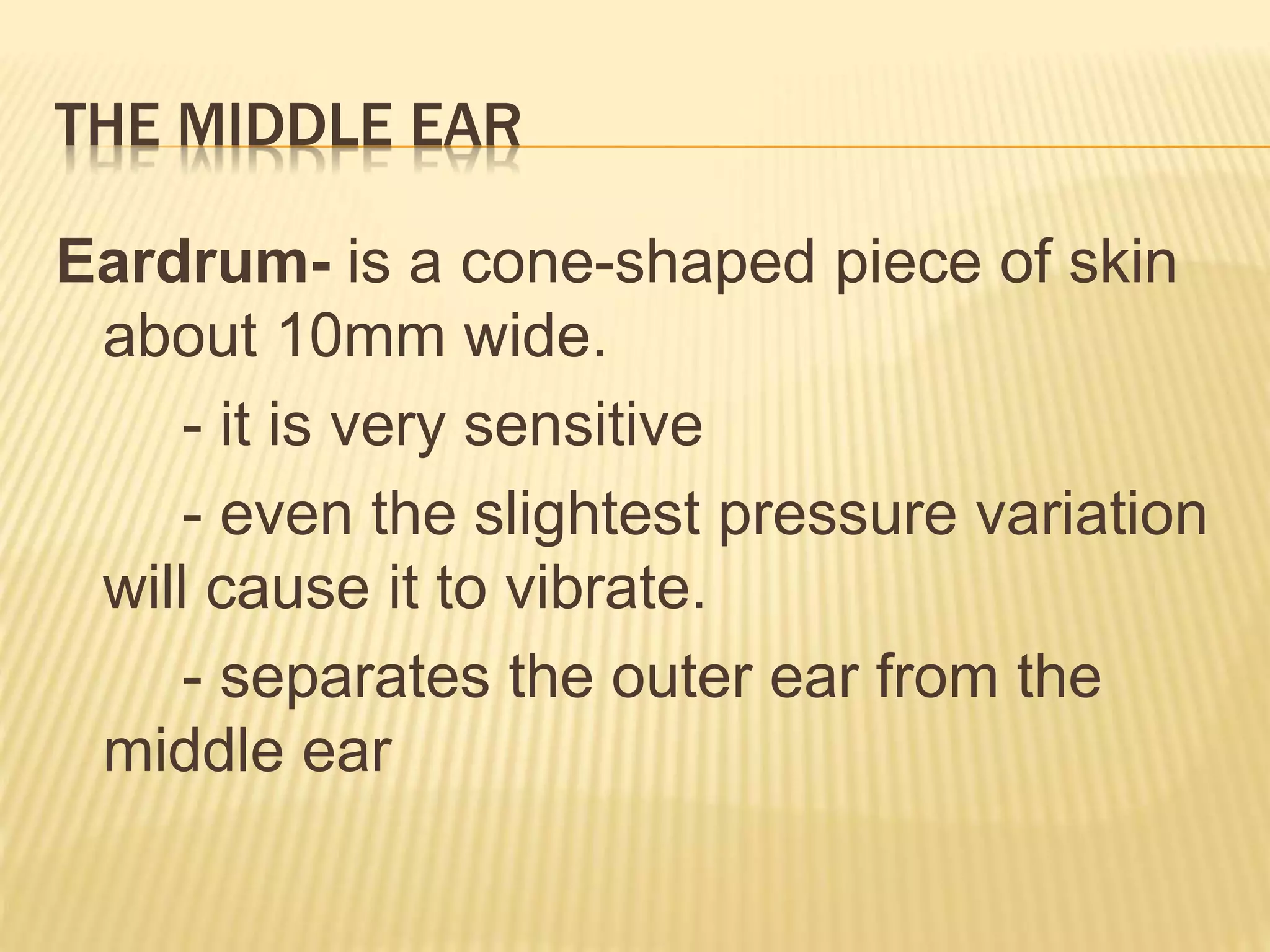 The human ear | PPTX
