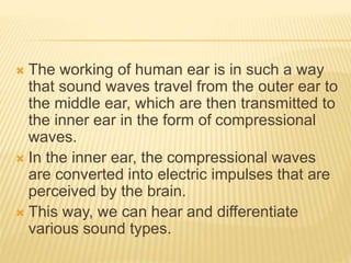 The human ear | PPTX