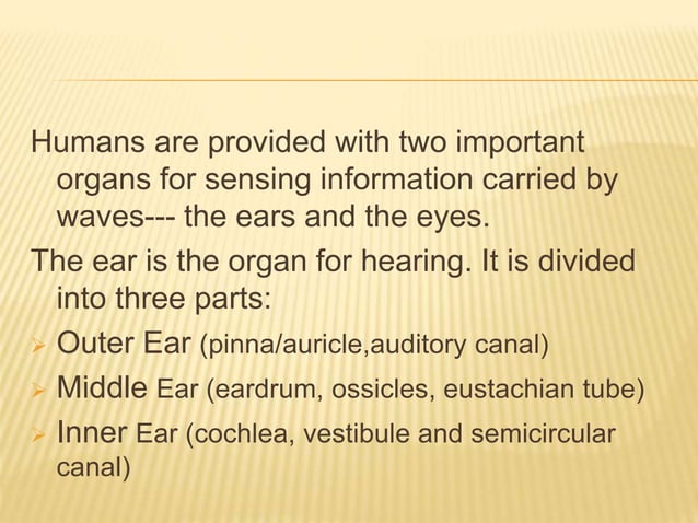 The human ear | PPTX