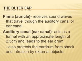 The human ear | PPTX