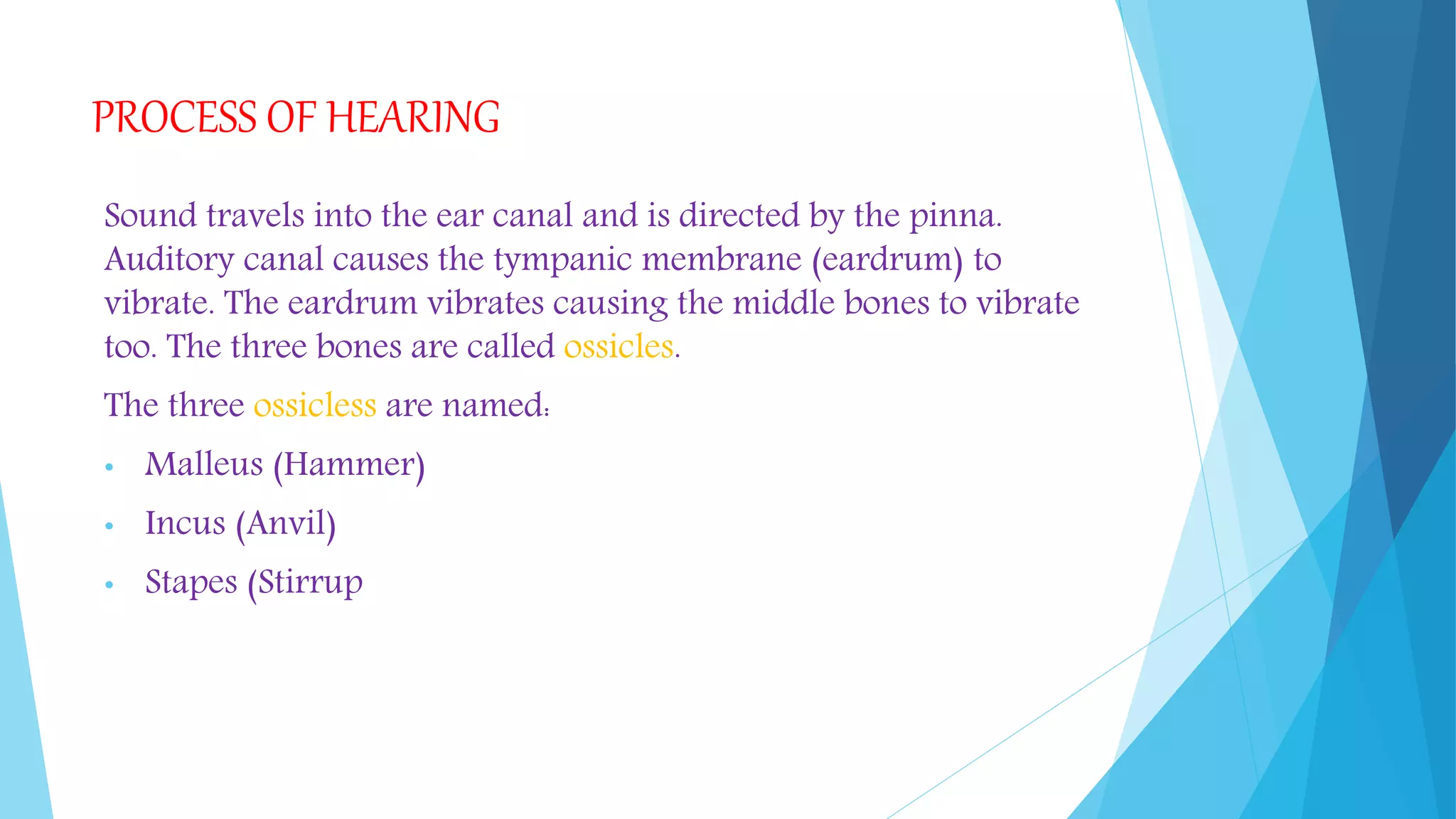 The human ear | PPTX