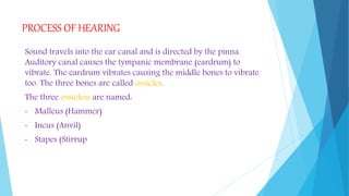 The human ear | PPT
