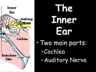 Presentation on internal structure of EAR | PPT