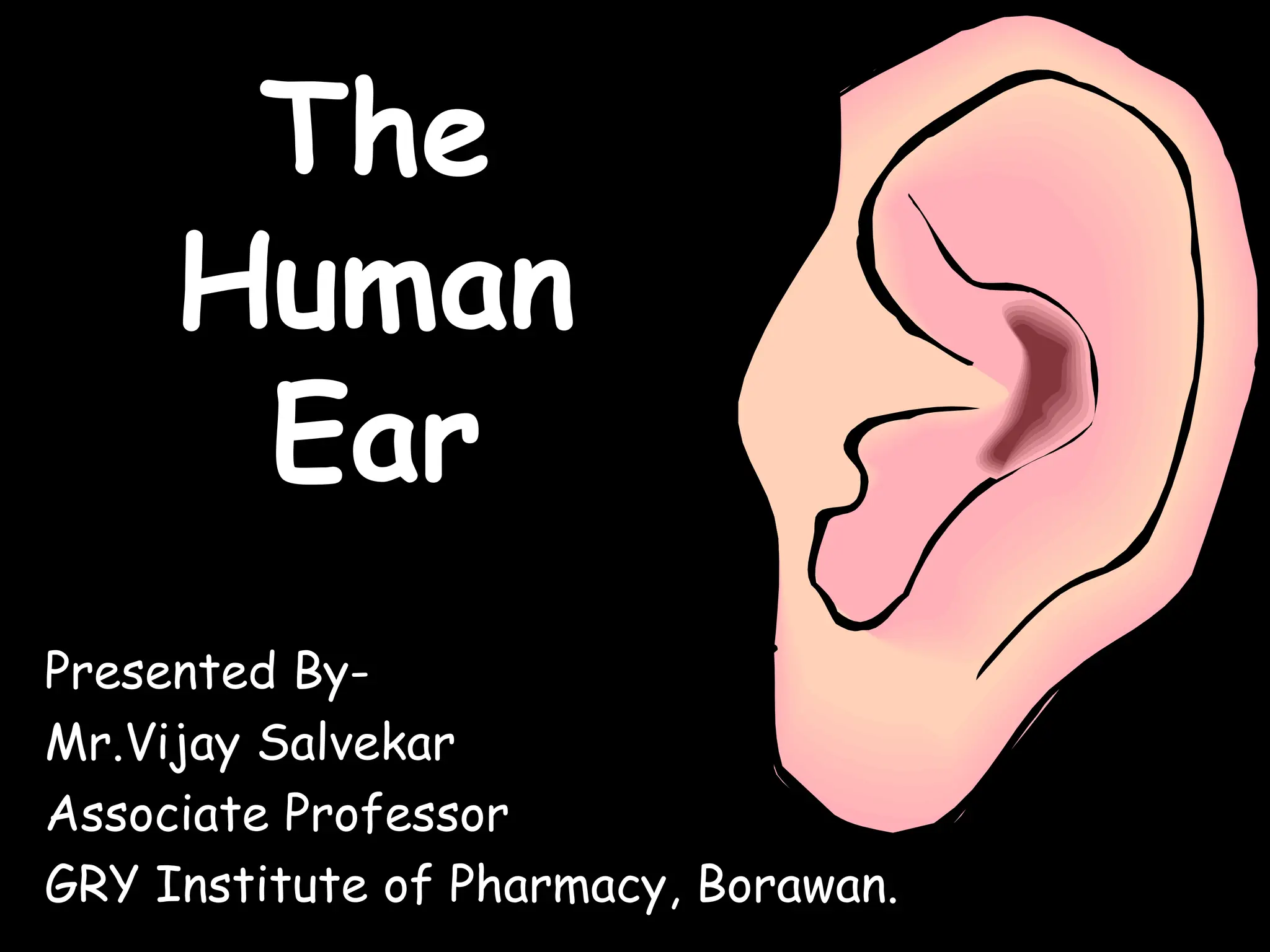 the_human_ear-outer,middle,inner ear,external auditory canal,tympanic ...