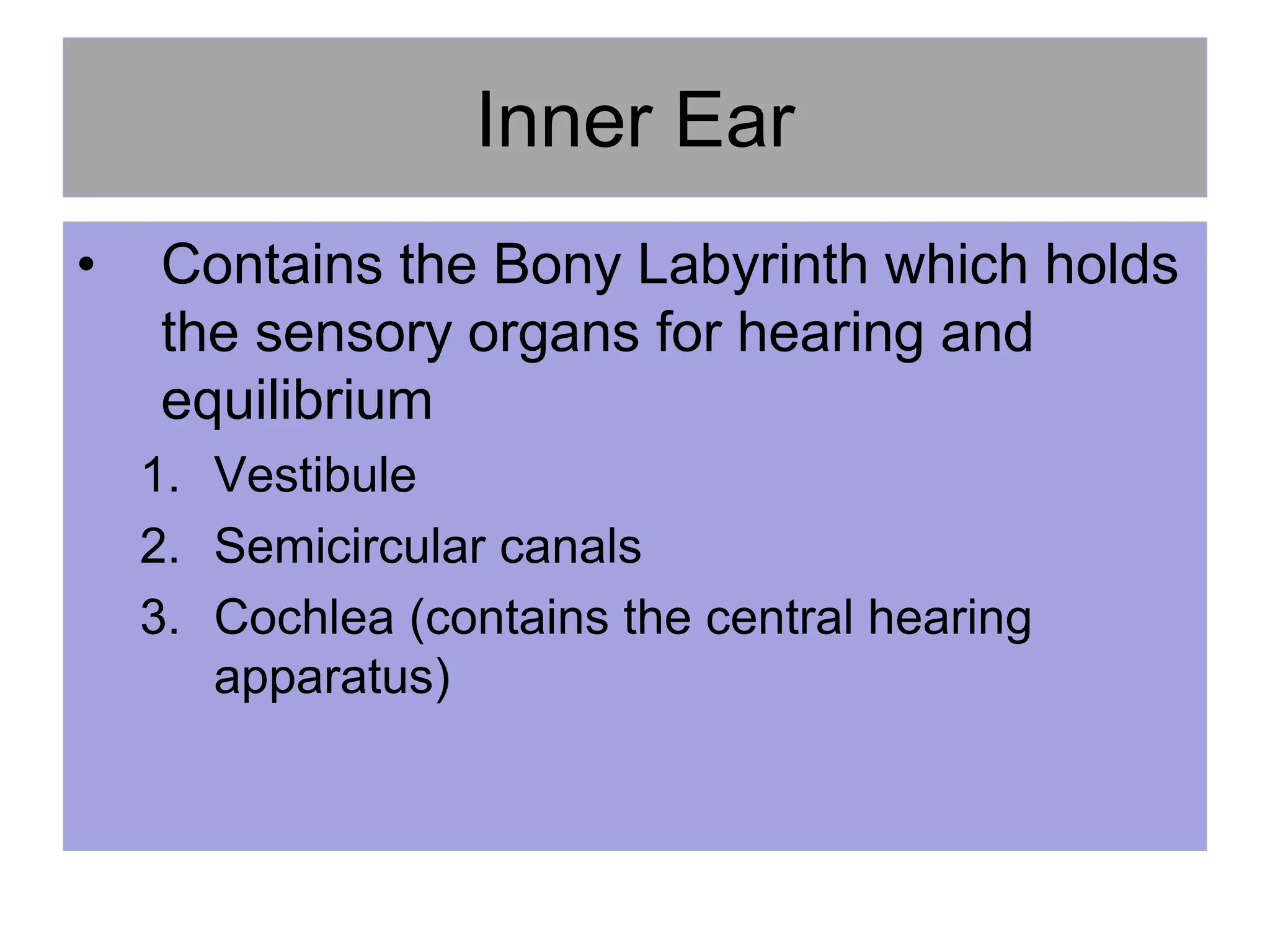 the_human_ear-outer,middle,inner ear,external auditory canal,tympanic ...
