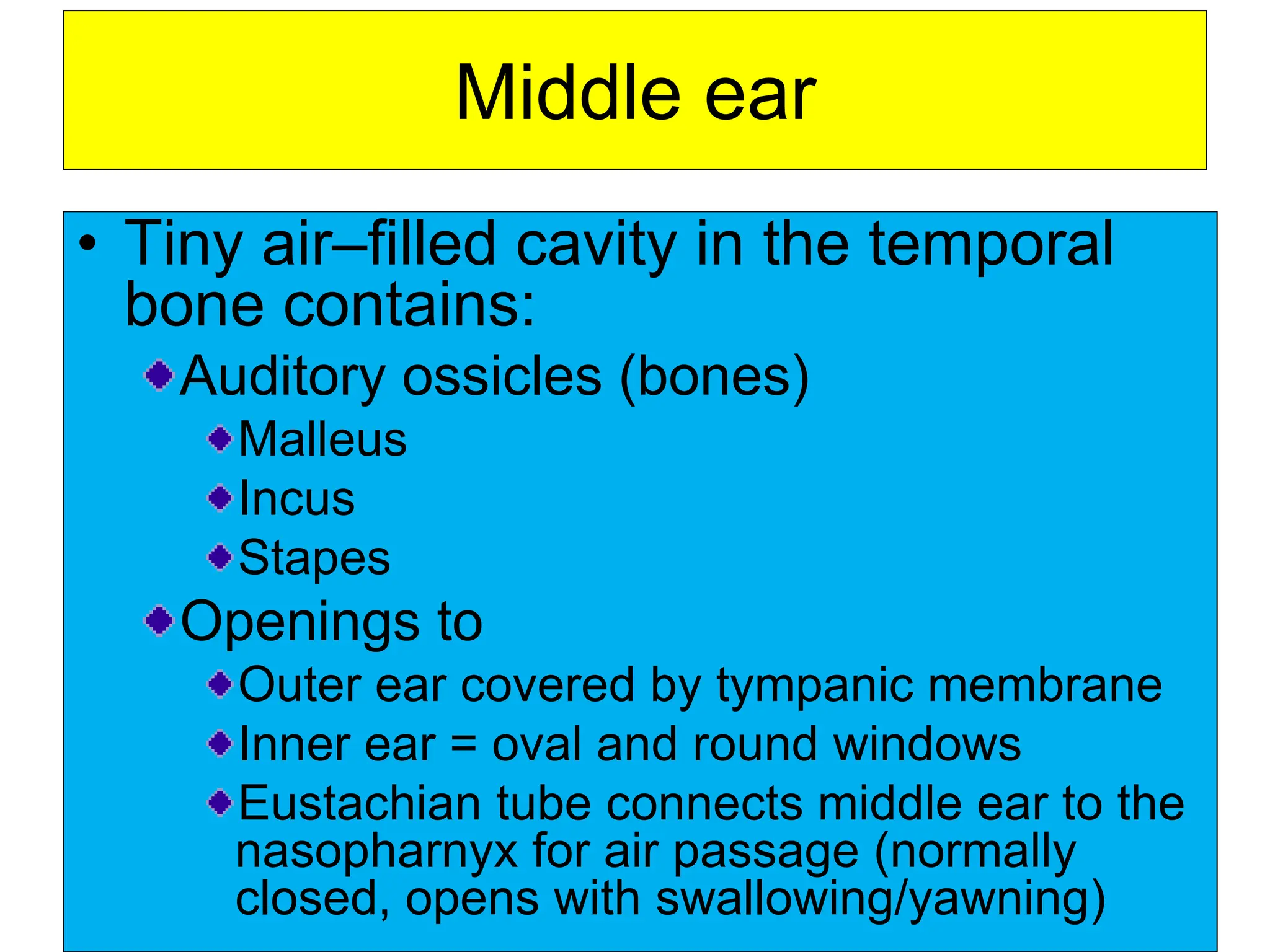 the_human_ear-outer,middle,inner ear,external auditory canal,tympanic ...