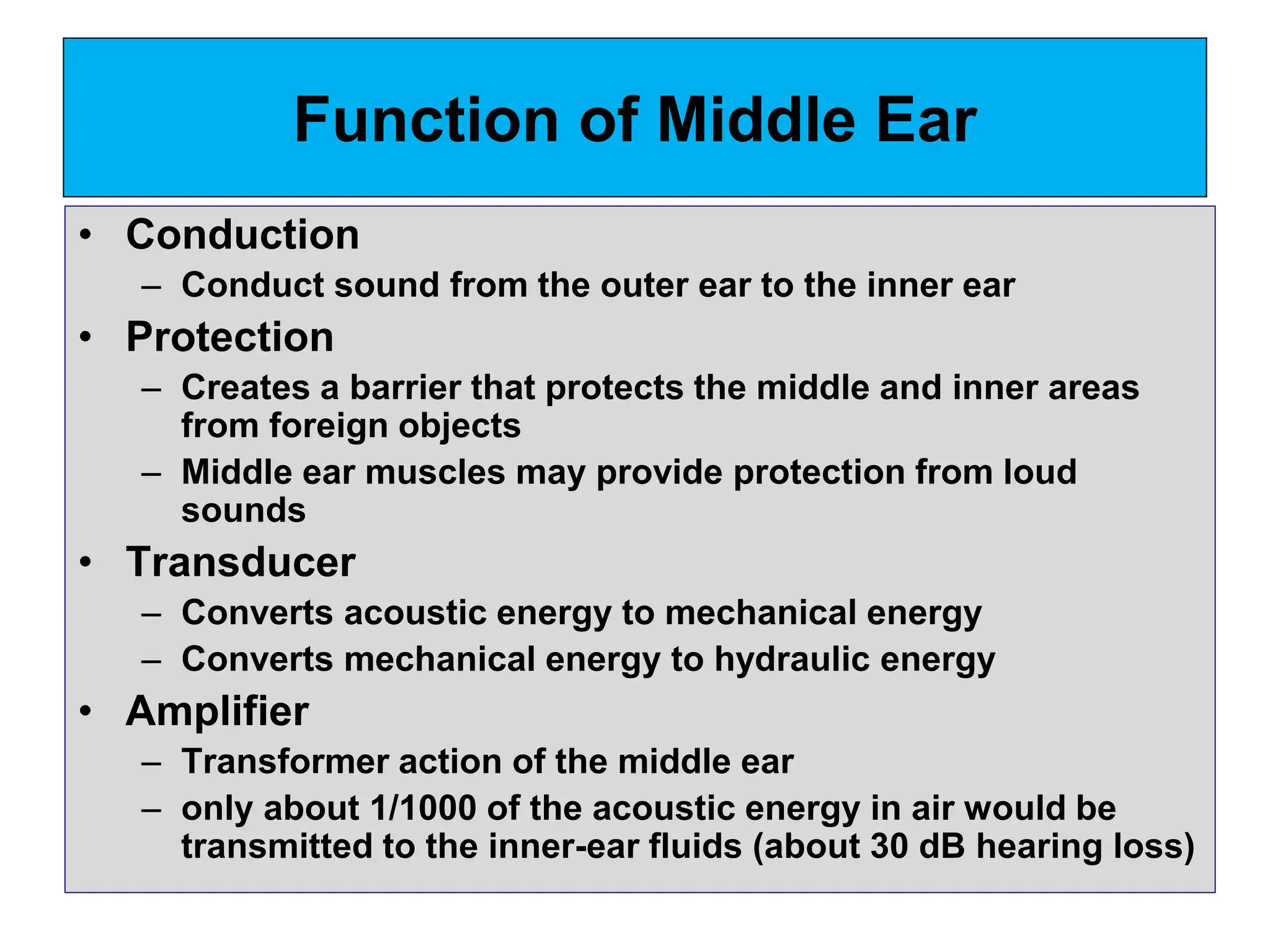 the_human_ear-outer,middle,inner ear,external auditory canal,tympanic ...