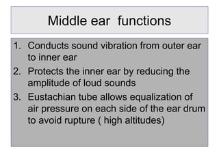 the_human_ear-outer,middle,inner ear,external auditory canal,tympanic ...