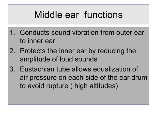 the_human_ear-outer,middle,inner ear,external auditory canal,tympanic ...