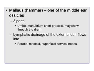 the_human_ear-outer,middle,inner ear,external auditory canal,tympanic ...