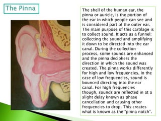 The Human Ear and Sound | PPTX