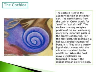 The Human Ear and Sound | PPTX