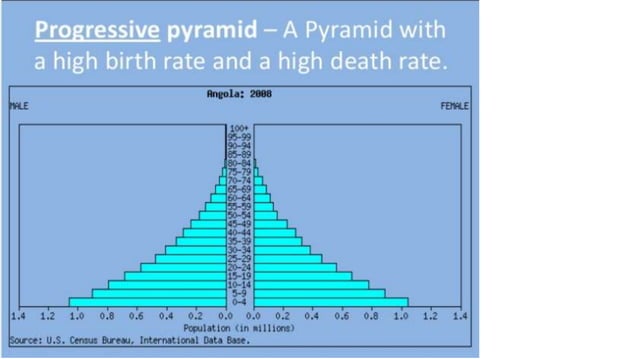 Population and Overpopulation - Leaving Cert Geography | PPTX