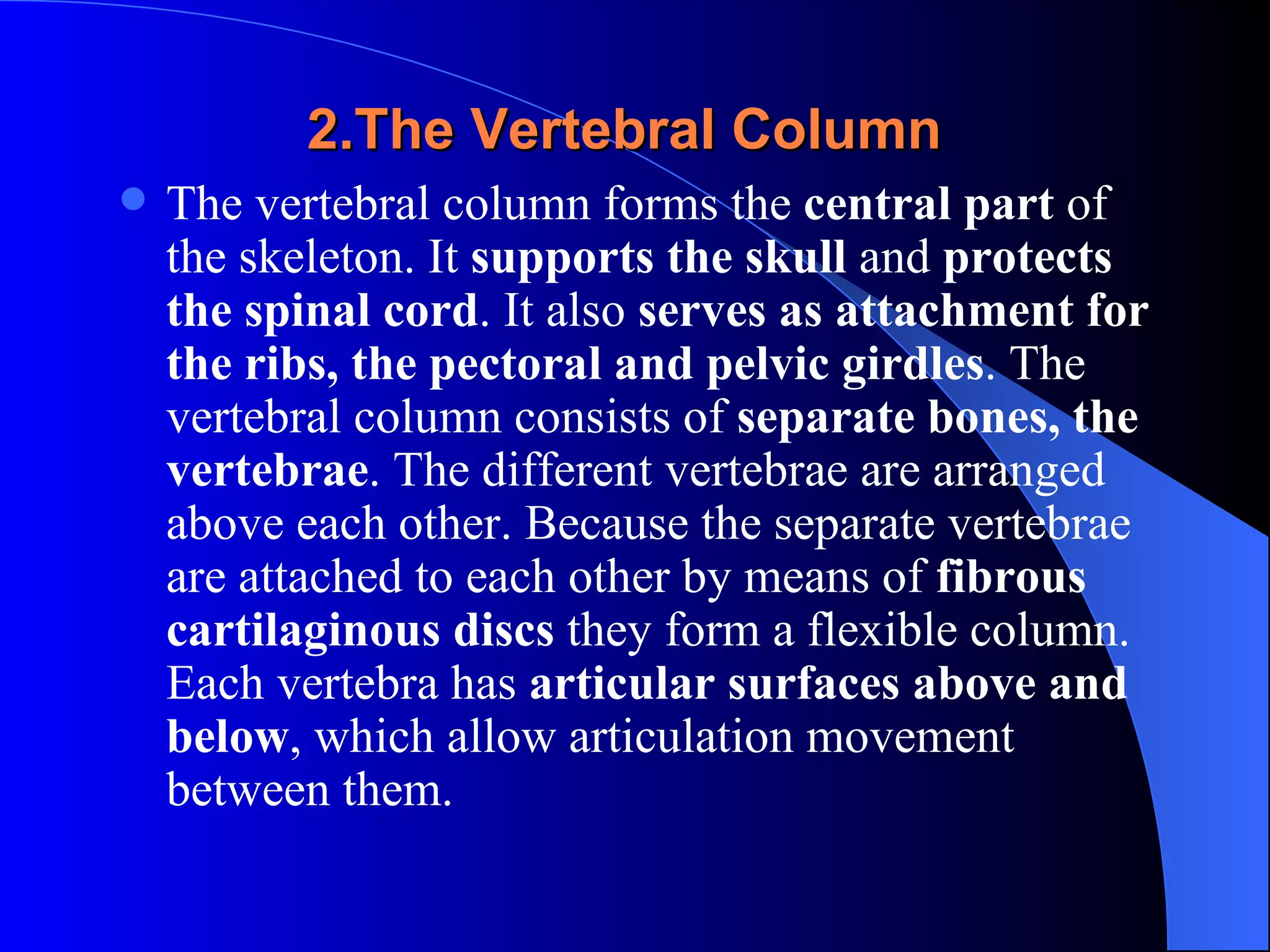 The human endoskeleton | PPT
