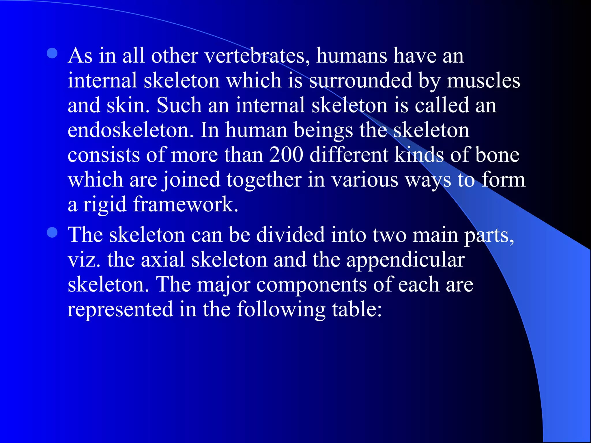 The human endoskeleton | PPT