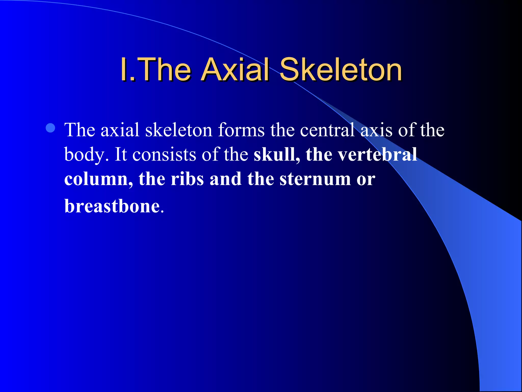 The human endoskeleton | PPT