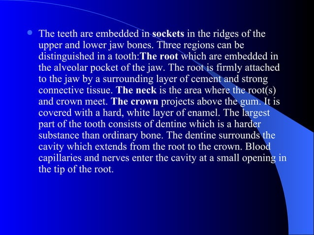 The human endoskeleton | PPT