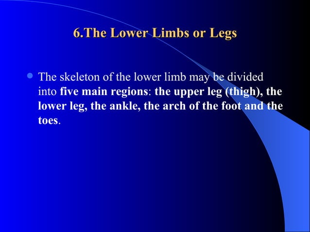 The human endoskeleton | PPT