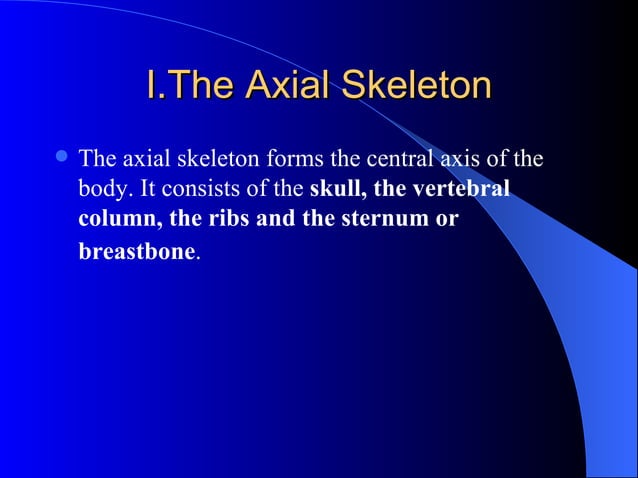 The human endoskeleton | PPT