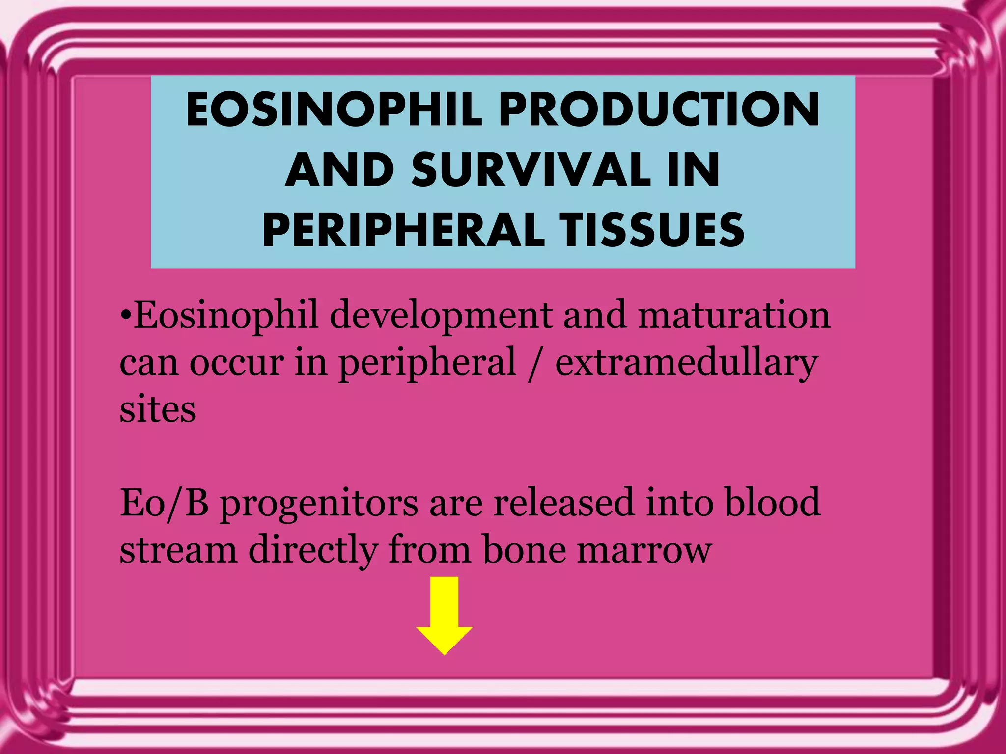 The human eosinophils | PPTX