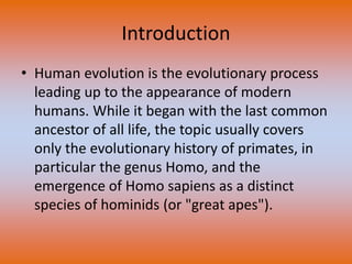 The human evolution | PPTX