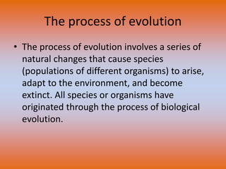 The human evolution | PPTX