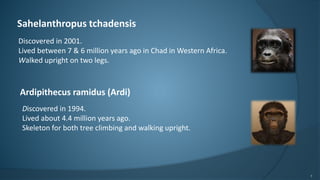 The human evolution | PPTX