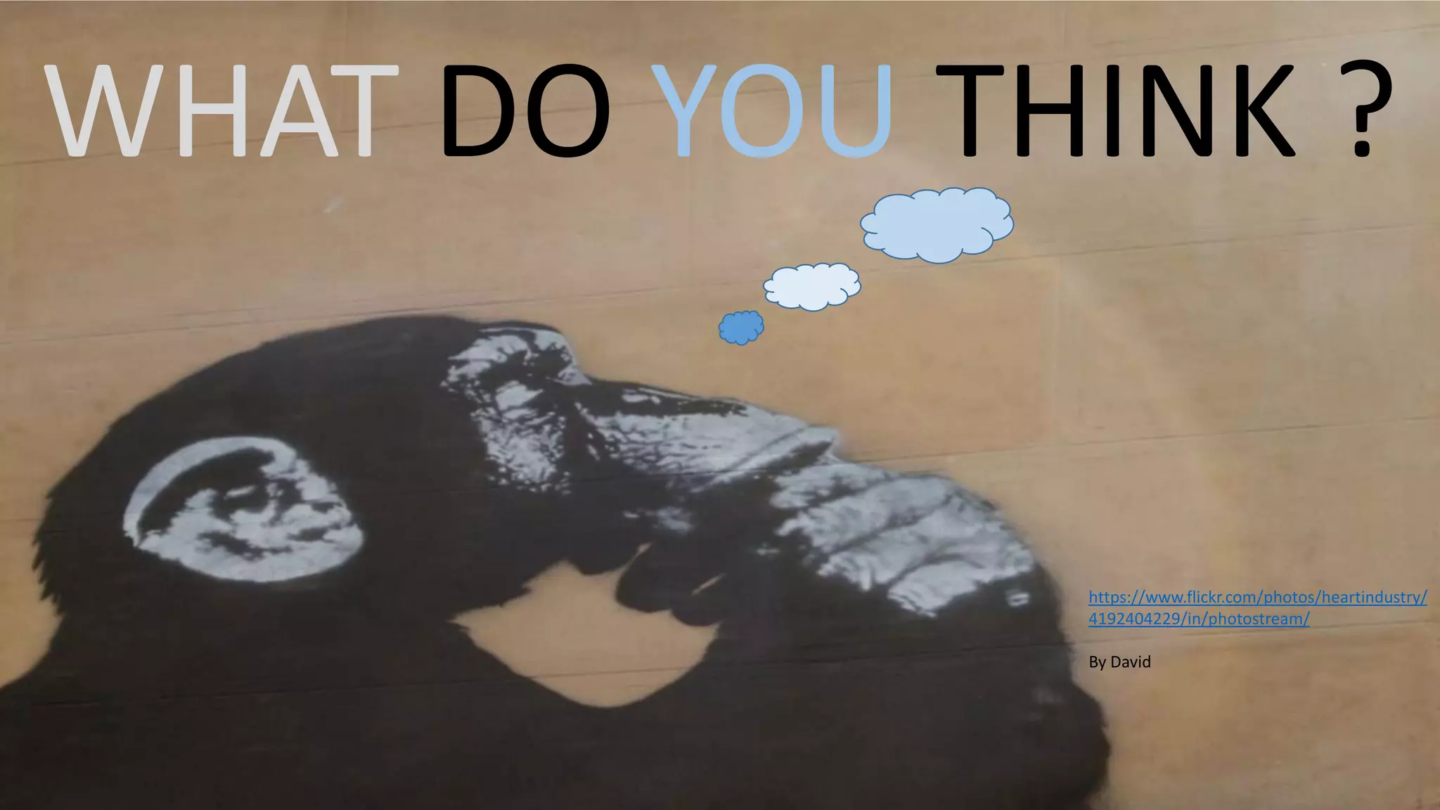 The human evolution | PPT