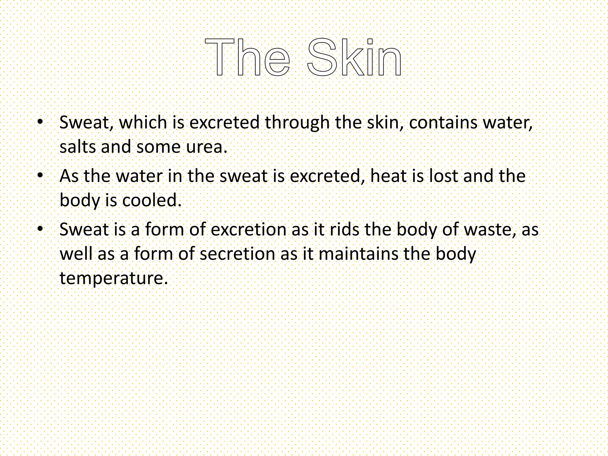 The Human Excretory System | PPTX