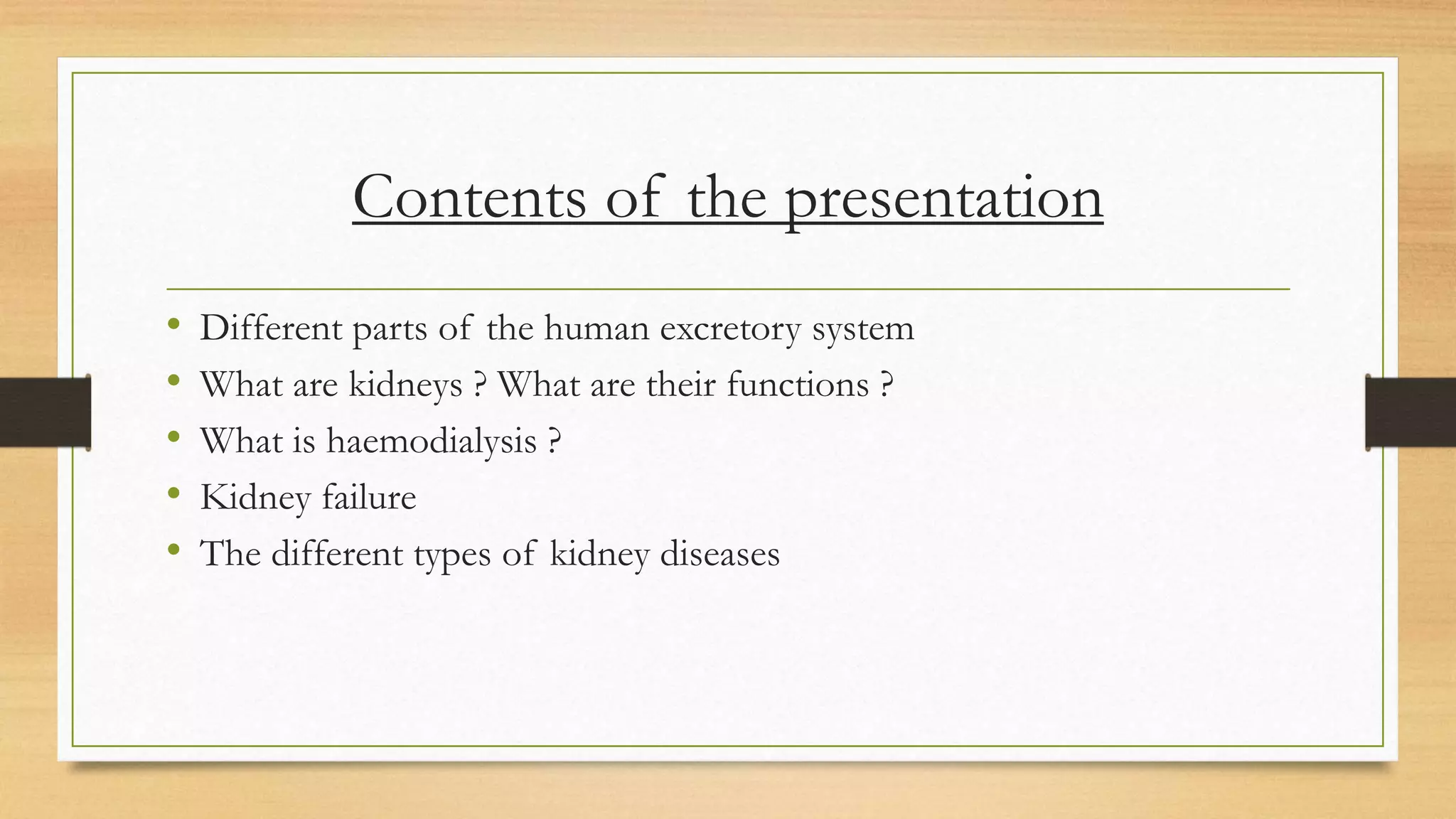 The human excretory system | PPT