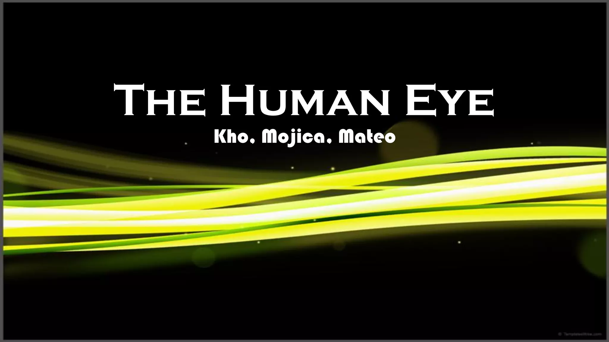The human eye | PPT