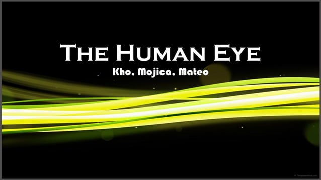 The human eye | PPT
