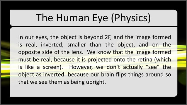 The human eye | PPT