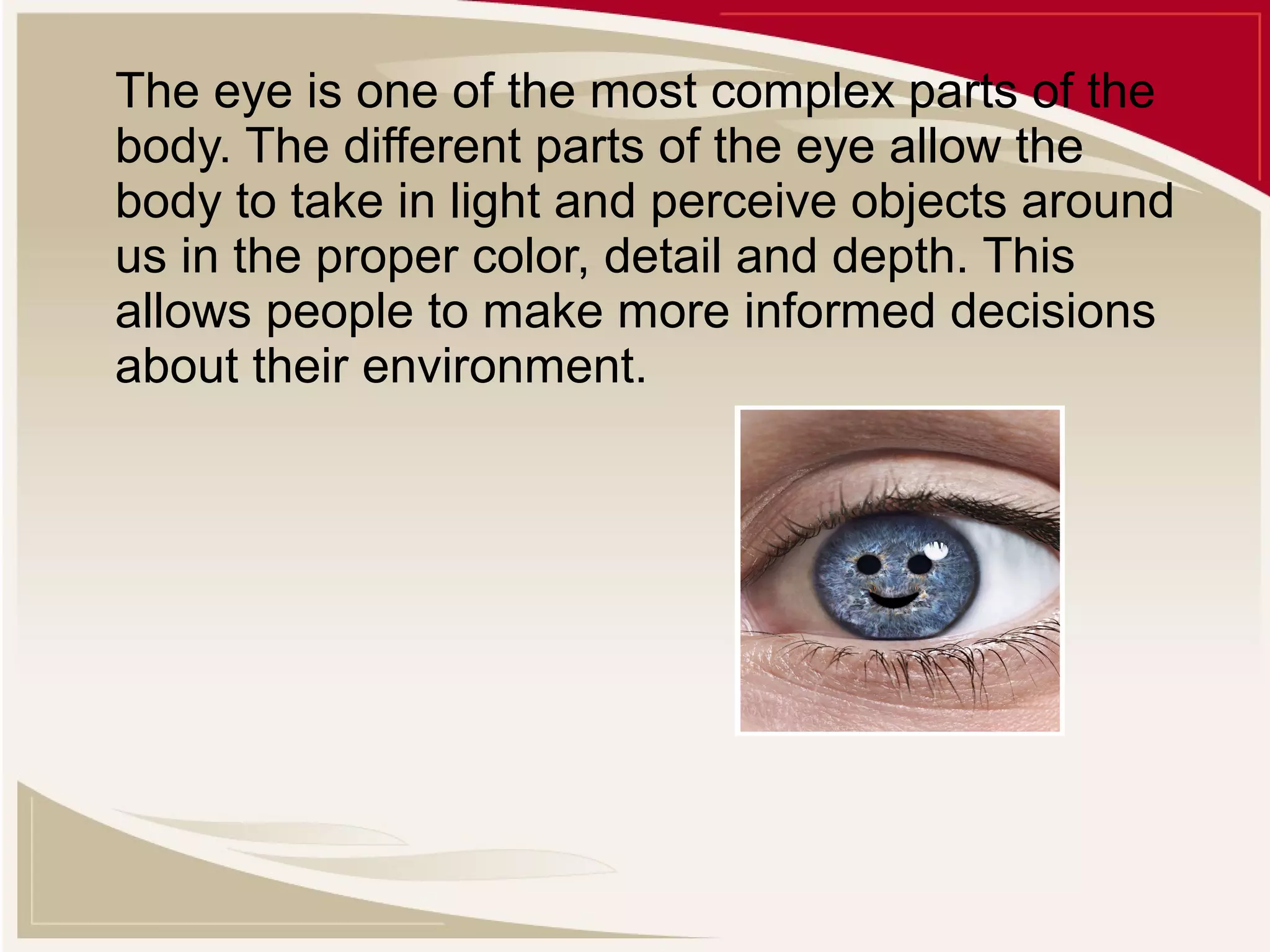 The Human Eye | PPT