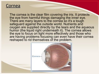 The Human Eye | PPT