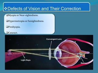 The human eye | PPT