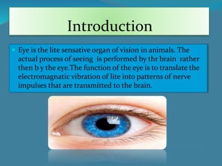 The human eye | PPT