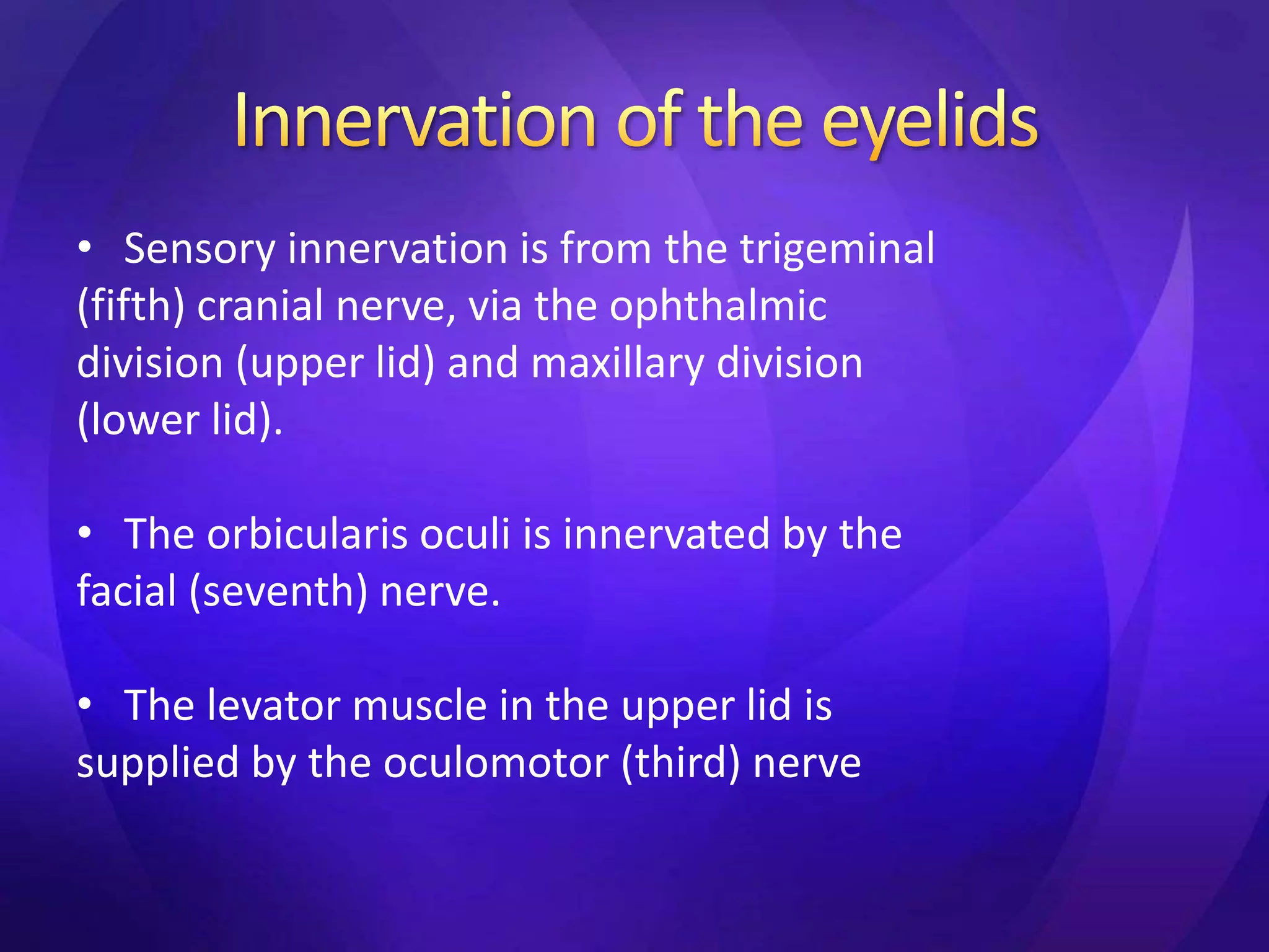 The human eye. group 1 | PPTX