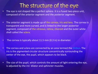 The human eye. group 1 | PPTX